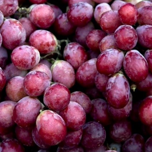Jual Anggur Merah Manis/500 gr/1 kg | Shopee Indonesia