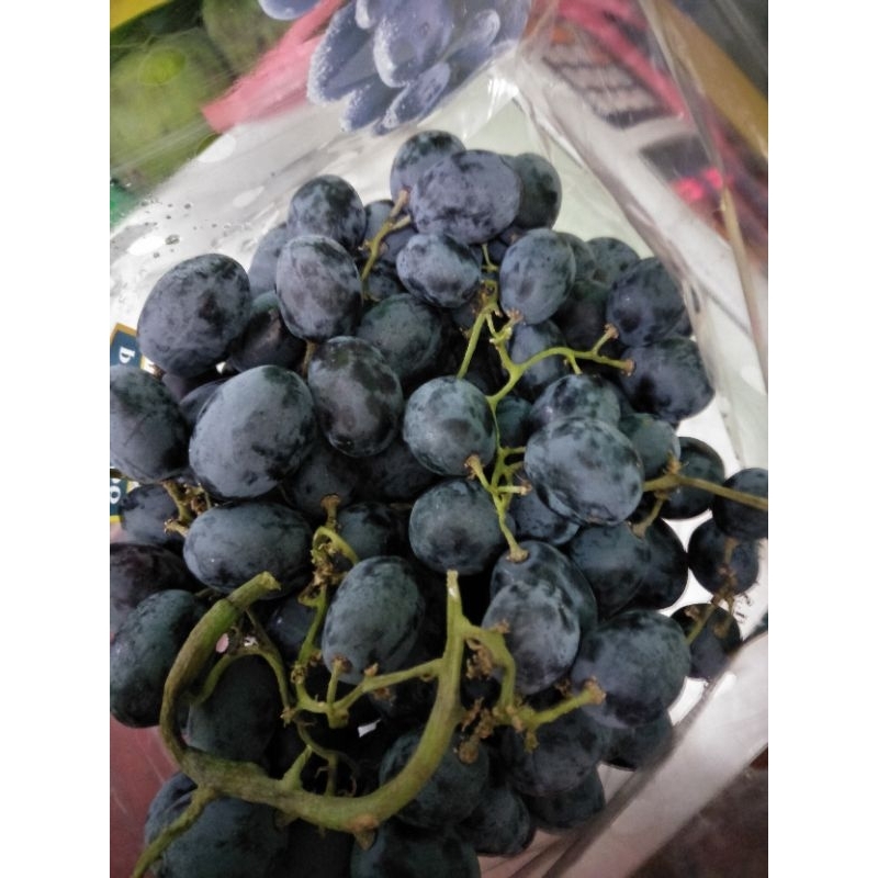 Jual Anggur Autumn Manis/500gr/1kg | Shopee Indonesia