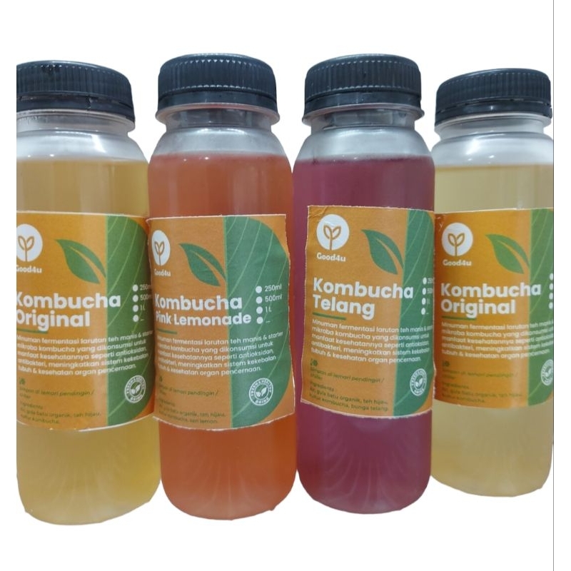 Jual Teh Kombucha Minuman Probiotik 250ml | Shopee Indonesia