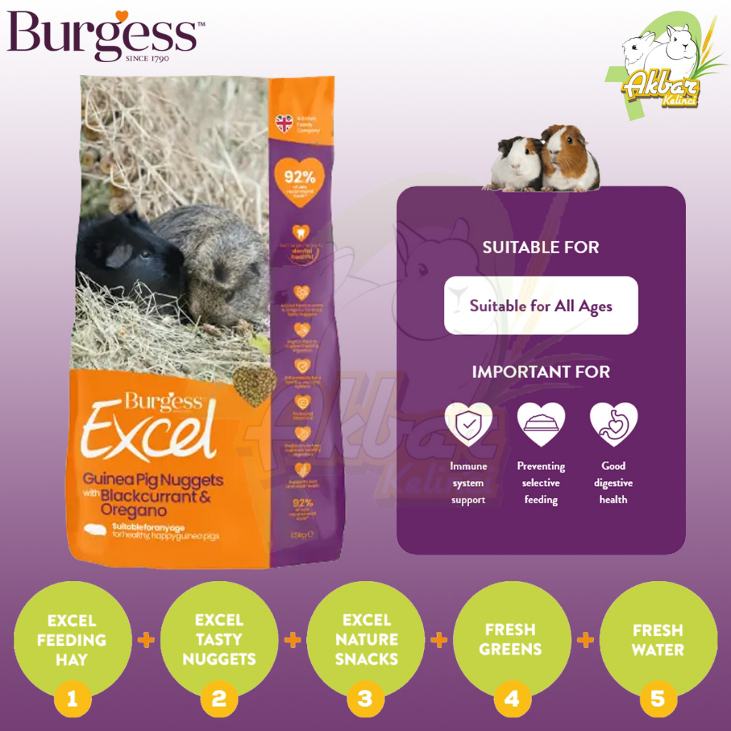 Jual Makanan Marmut/Guniea Pig Burgess Excel Cavy With Blackcurrant and ...
