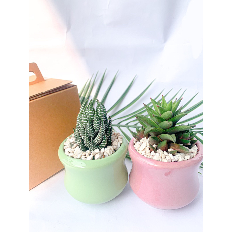 Jual Pot Keramik / Pot Keramik Kecil/Pot Keramik Pastel | Shopee Indonesia