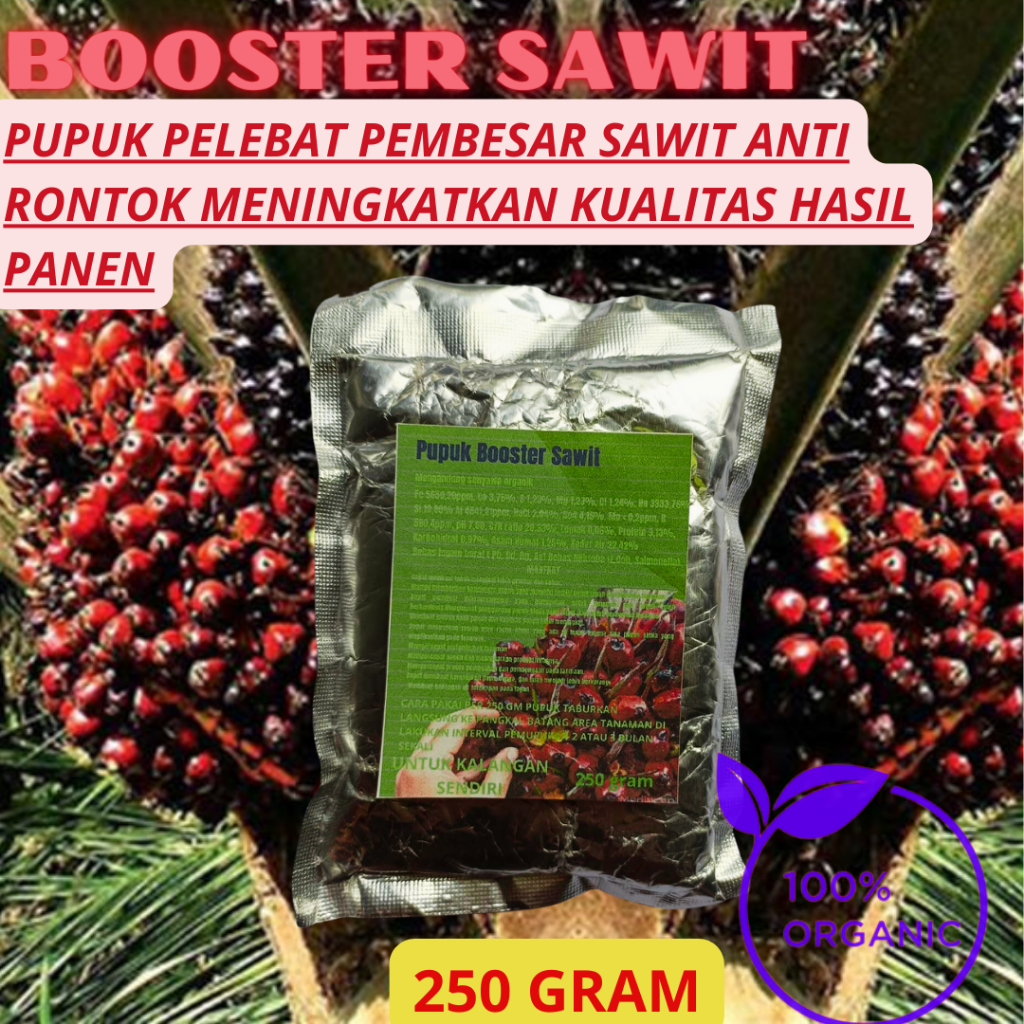 Jual Pupuk Booster Organik Pelebat Sawit dan Booster Perangsang Sawit Agar Cepat Berbuah Super ...