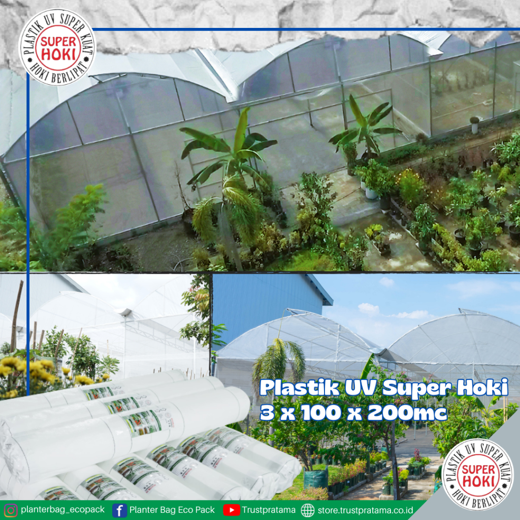Jual Super Hoki UV - Plastik Greenhouse ukuran 3 meter x 100 meter x 200 micron (1 roll ...