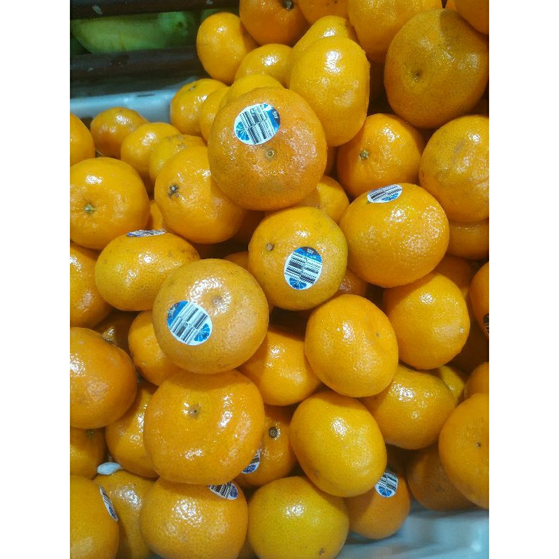Jual JERUK MANDARIN WOGAN MURCOT 1 KG | Shopee Indonesia
