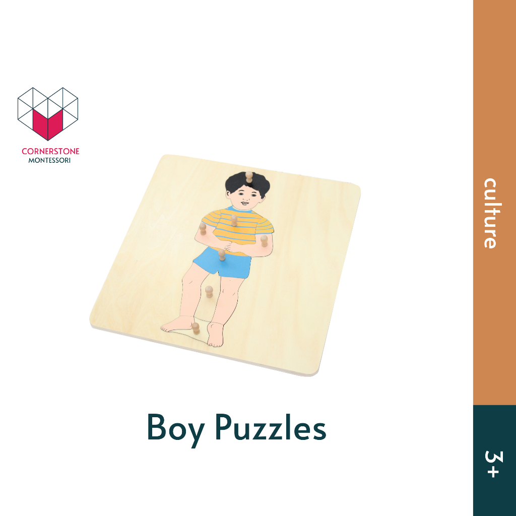 Jual Cornerstone Montessori Boy Puzzle - Montessori Culture | Shopee ...