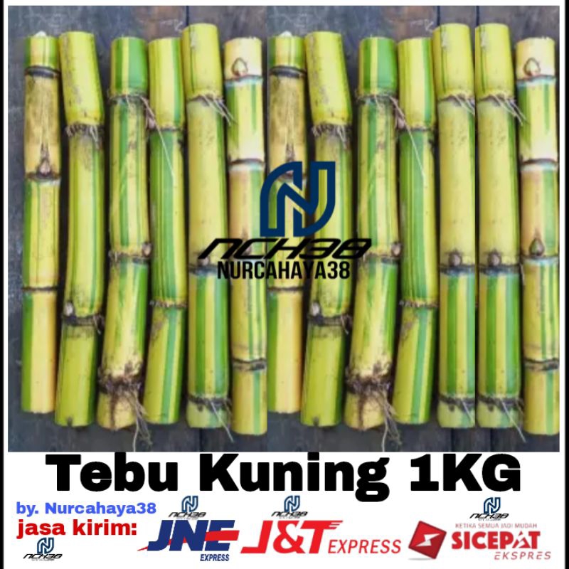 Jual Tebu Kuning 1kg | Shopee Indonesia