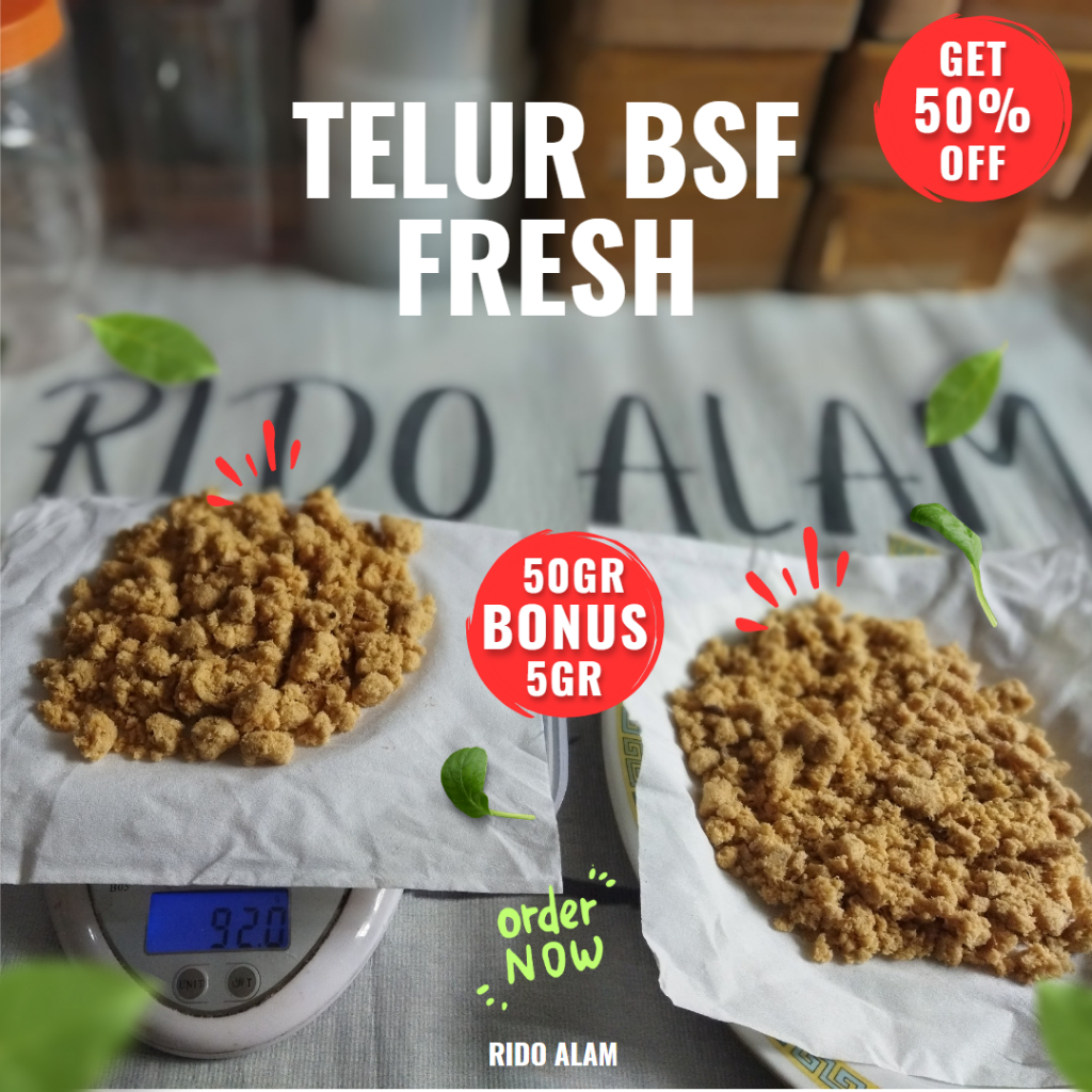 Jual Telur maggot bsf Paket 50gram Bonus 5gram | Telur Lalat bsf Super ...