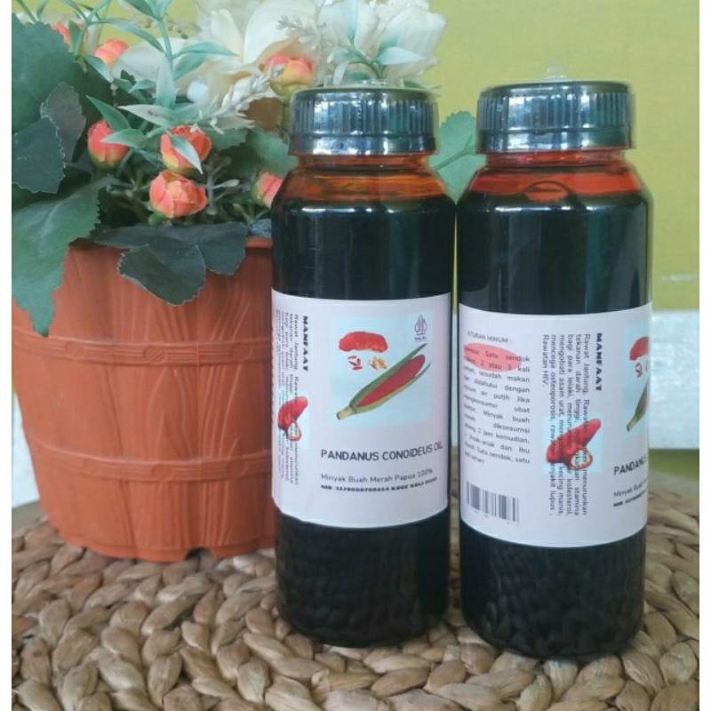 Jual Minyak Buah Merah Papua Asli 250 ml Termurah | Shopee Indonesia