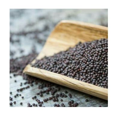 Jual Black Mustard Seed 1kg / Biji Sawi Hitam | Shopee Indonesia