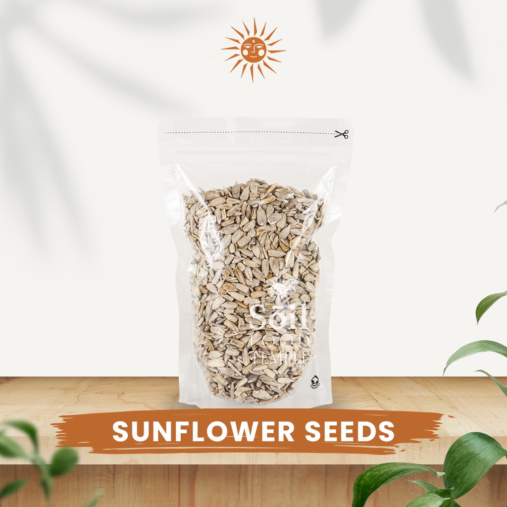 Jual Sunflower Kernels / Seeds - Biji Bunga Matahari - Sun Flower Seed 500gr - 1kg | Shopee ...