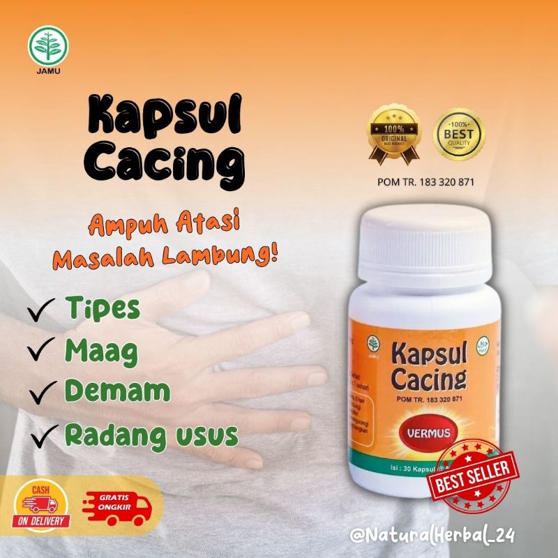 Jual kapsul Cacing Tanah Obat Tipes Tyfus Vermus isi 12&30Kapsul ...