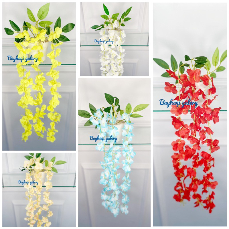 Jual DAUN JUNTAI SAKURA IMPORT POT MINI //DAUN GANTUNG SAKURA ...
