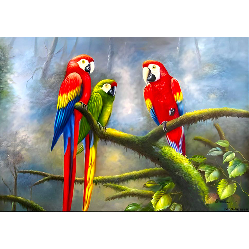 Jual Hiasan dinding Poster gambar burung parrot warna warni di atas ... Jual Hiasan dinding Poster gambar burung parrot warna warni di atas ...