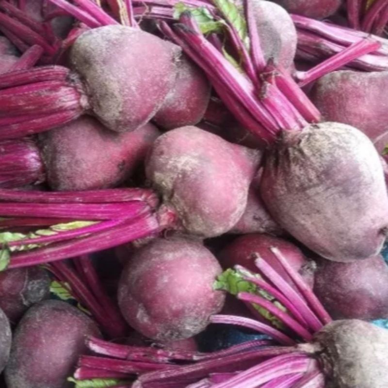 Jual Buah Bit Segar berat 1KG | Shopee Indonesia