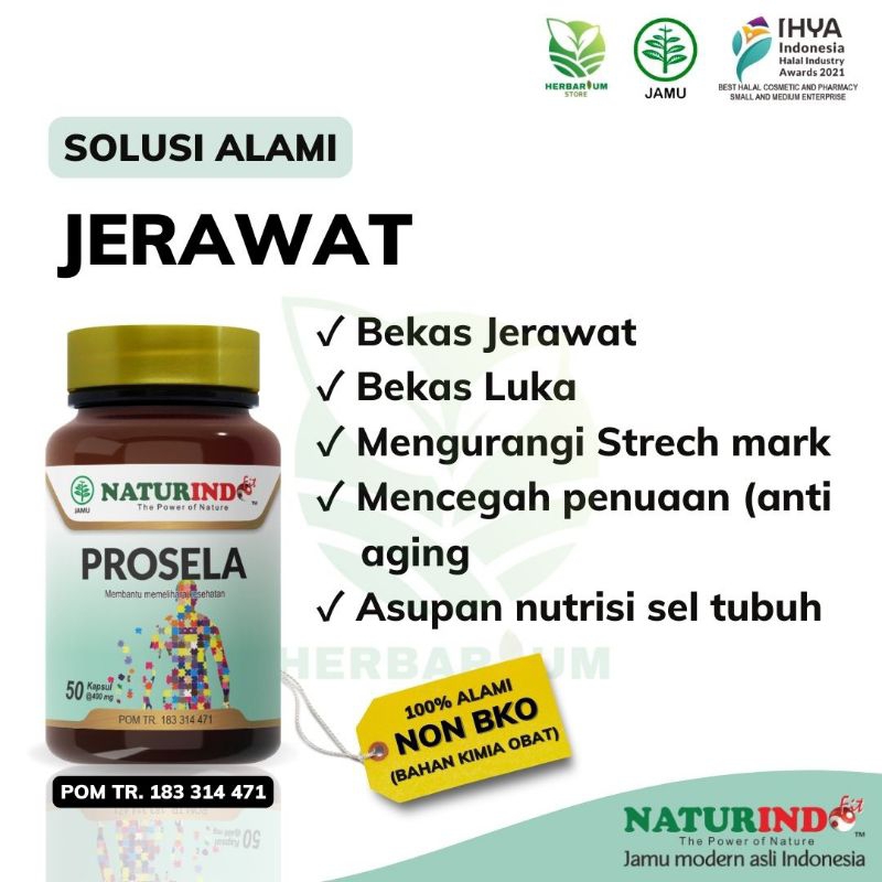 Jual Prosela 50 Kapsul Obat Herbal Jerawat Bekas Jerawat Bopeng Bekas ...