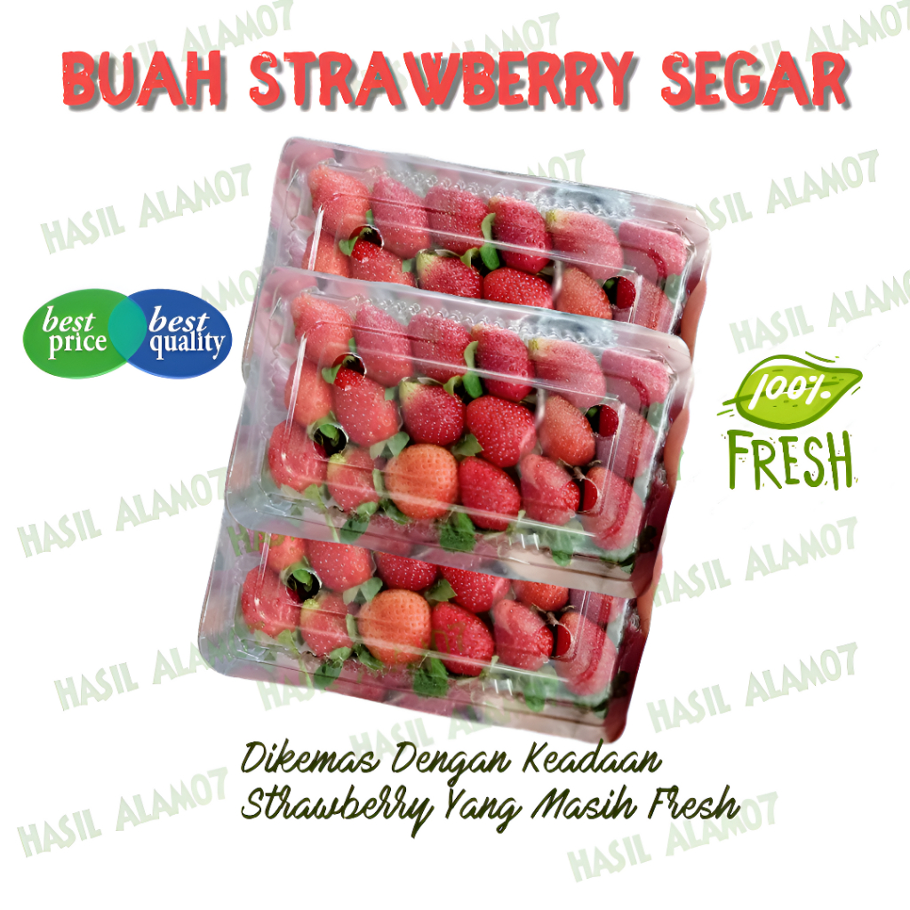 Jual Buah Strawberry Stroberi Stoberi Kemasan Segar Fresh Fruits Harga ...