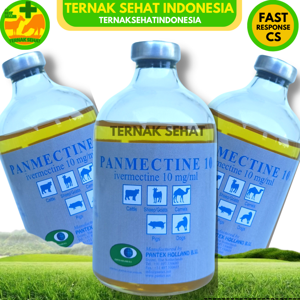 Jual Panmectin 10 inj 100 ml - Obat gudik scabies gatal sapi kambing ...