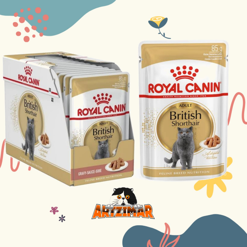 Jual Royal Canin British Shorthair 85Gr pouch bsh makanan kucing ...