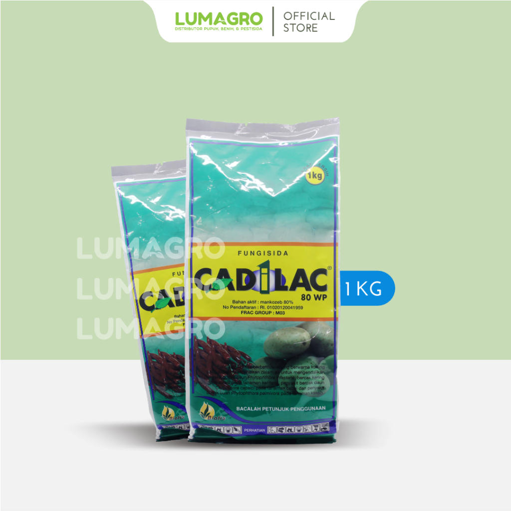 Jual Fungisida Cadilac 80WP 1kg Mankozeb Kuning Obat Pembasmi Penyakit ...
