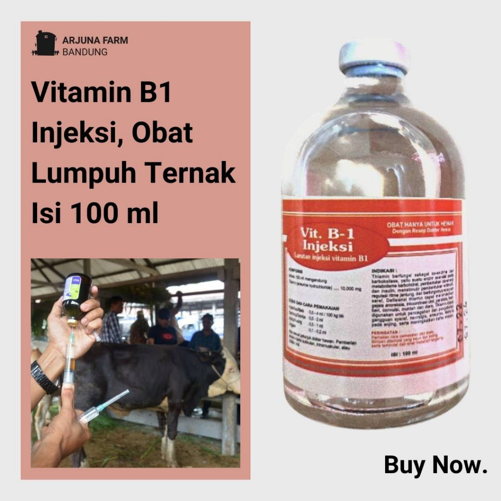 Jual Ready Vitamin B1 Injeksi - Obat Lumpuh Ternak - Thiamin ...