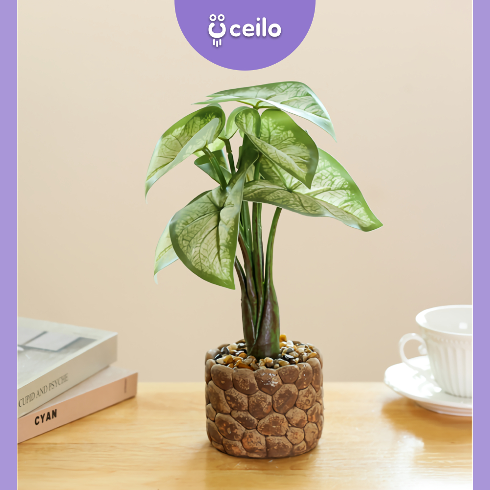 Jual CEILO Tanaman Aglonema Artificial Premium | Tanaman Dekorasi ...