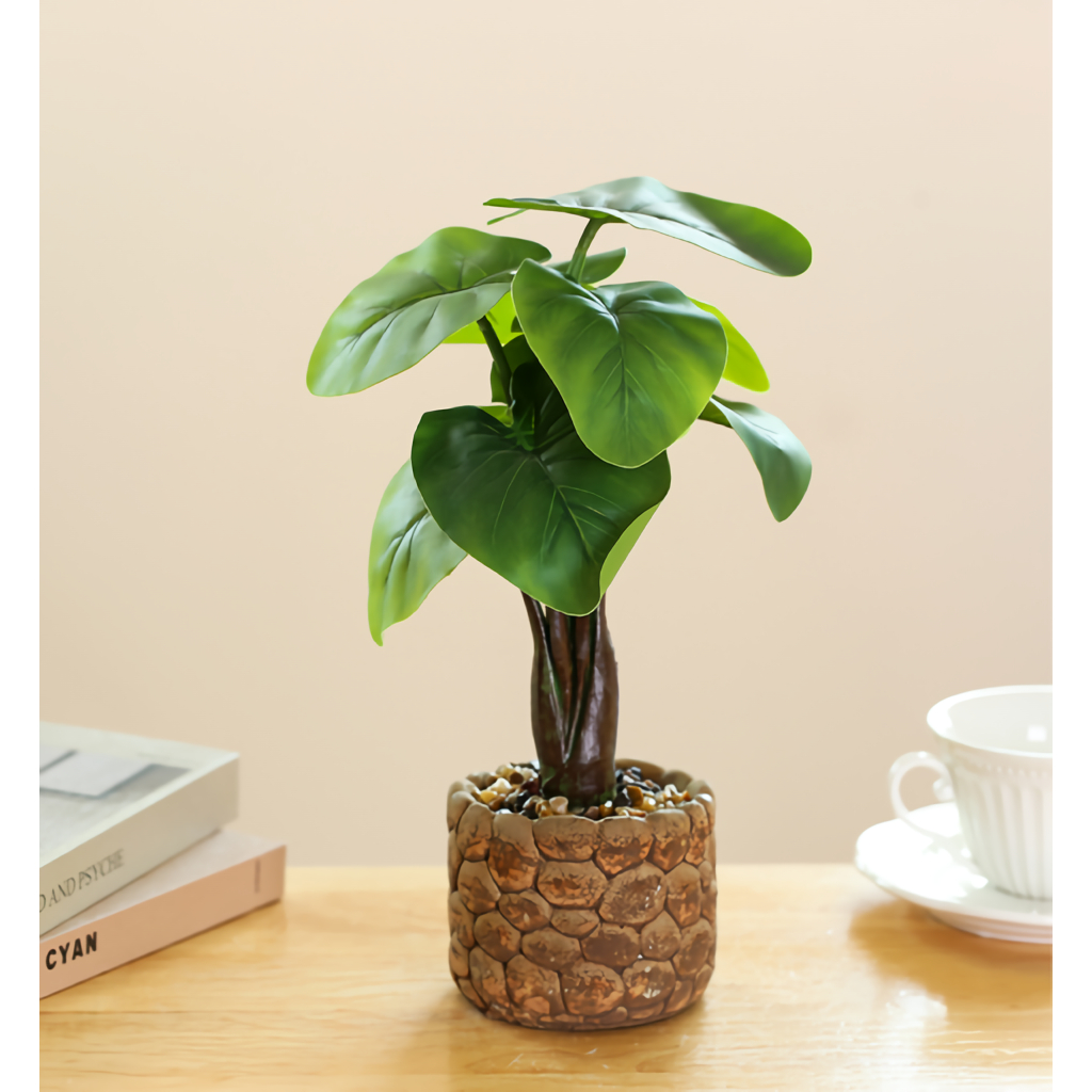 Jual CEILO Tanaman Aglonema Artificial Premium | Tanaman Dekorasi ...