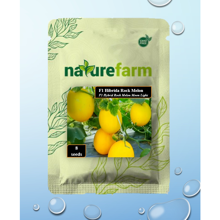 Jual Naturefarm - Benih Rock Melon F1 Hibrida (F1 Hybrid Rock Melon ...
