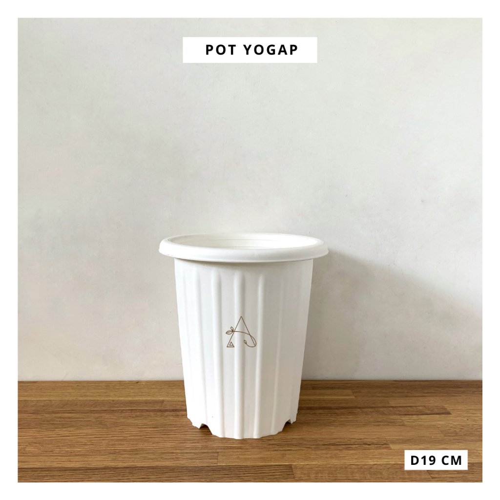 Jual Pot Bunga Yogap Putih D19 cm | Pot Plastik | Pot Tanaman Hias ...