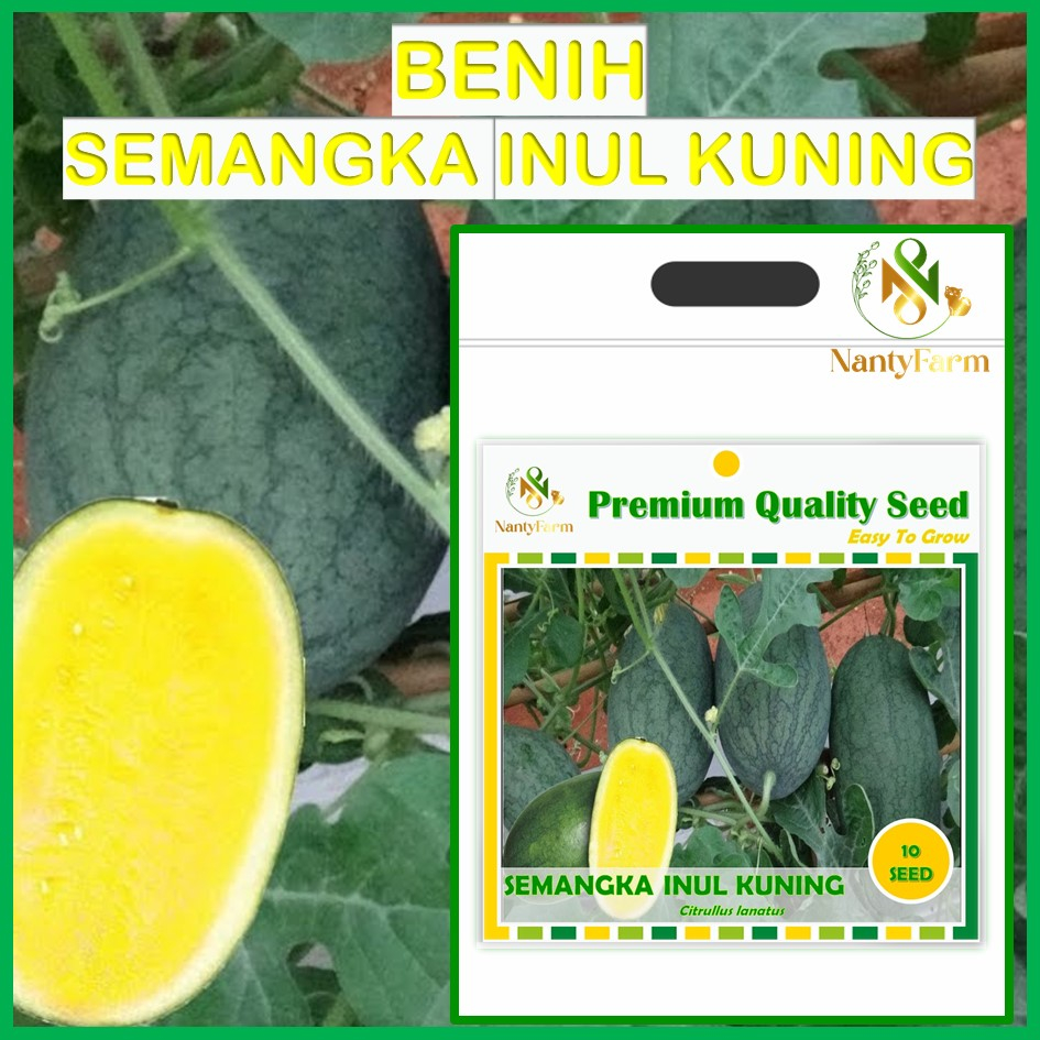 Jual Benih Biji Buah Semangka Inul Kuning F1 Hibrida 10 Biji | Shopee ... Jual Benih Biji Buah Semangka Inul Kuning F1 Hibrida 10 Biji | Shopee ...