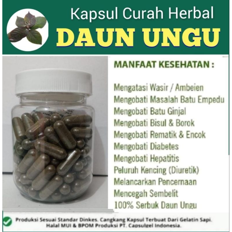 Jual Daun Ungu 100 kapsul Curah Herbal Kemasan Botol | Shopee Indonesia