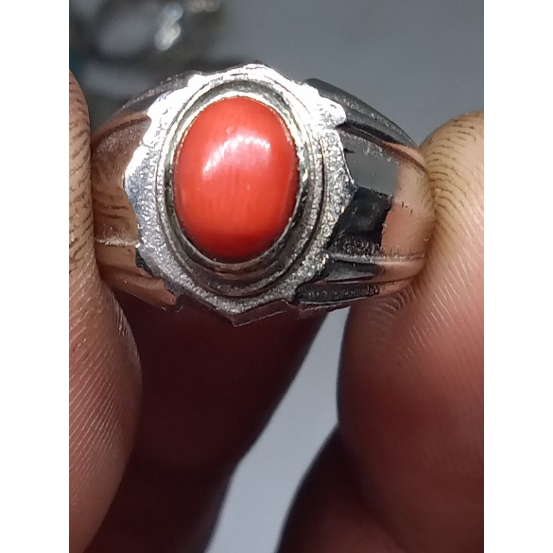 Jual natural red coral (Marjan laut merah) | Shopee Indonesia