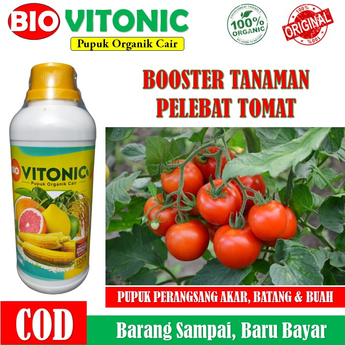 Jual PUPUK PELEBAT TOMAT BIO VITONIC 500ML - Pupuk Ampuh Melebatkan ...