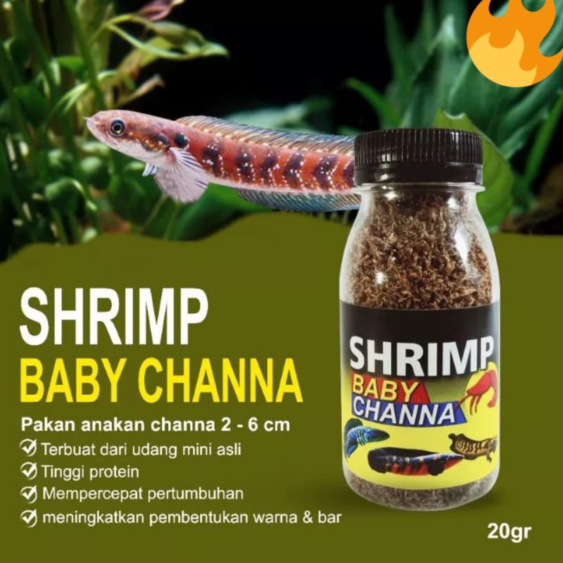 Jual Udang kering pakan burayak chana / baby shrimp / udang kering ... Jual Udang kering pakan burayak chana / baby shrimp / udang kering ...