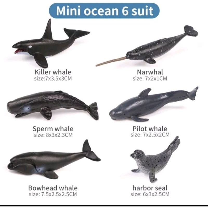 Jual Mainan Miniatur Ikan Paus Orca Killer Whale Sperm Bowhead Pilot ...
