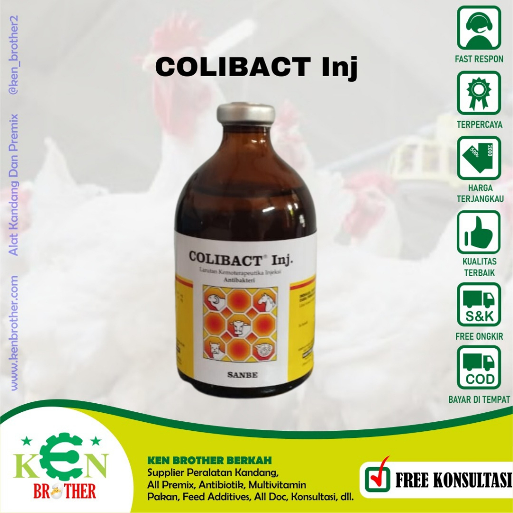 Jual COLIBACT® INJEKSI SANBE 100ML Obat Antibiotik Diare Batuk Pilek ...