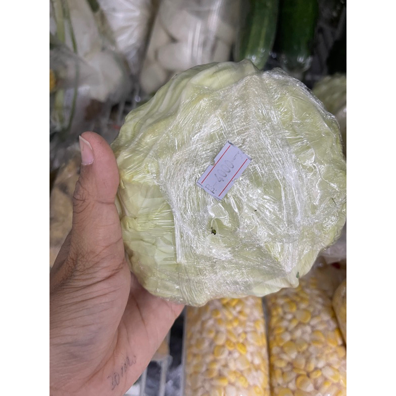 Jual KOL PUTIH | Shopee Indonesia