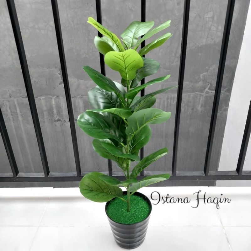 Jual Set Pohon Ketapang Artificial 70cm 80cm PLUS POT | Shopee Indonesia