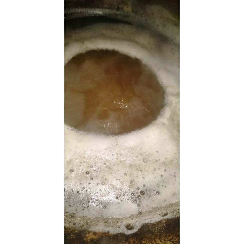 Jual air nira asli dari pohon aren asli 3 botol ukuran botoll 1liter ...