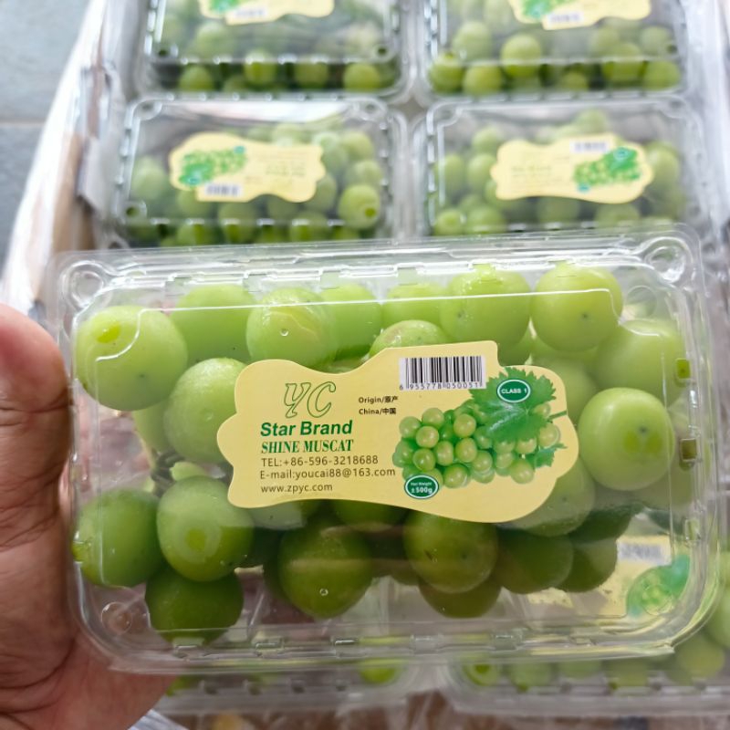 Jual Anggur shine Muscat 500 gr | Shopee Indonesia