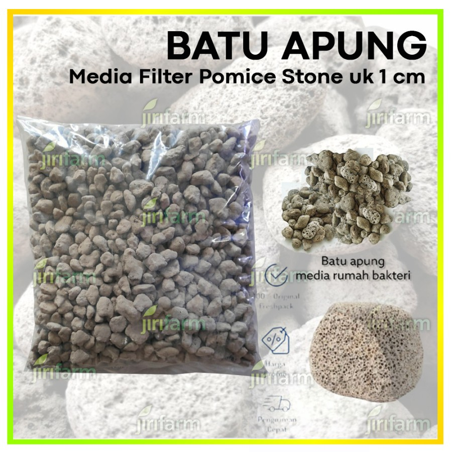 Jual Jirifarm Media Filter Batu Apung / Pumice Stone Ukuran 1 cm (1 Kg ...