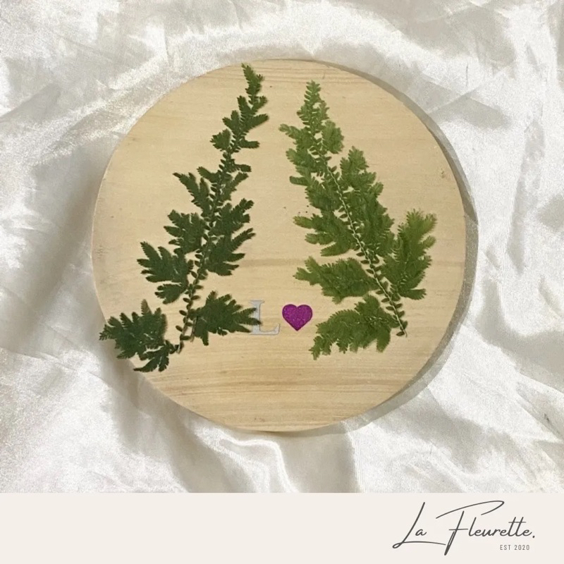 Jual Selaginella Leaf Daun Selaginella Daun Kering Pressed Leaf