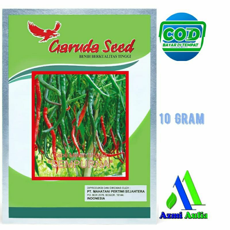 Jual Cabe Merah Keriting Sempurna 10Gram Bibit Cabe Keriting Bibit Cabe ...