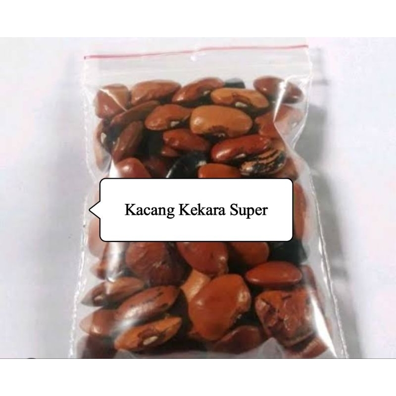 Jual Benih biji kacang kekara kacang kratok atau roay | Shopee Indonesia