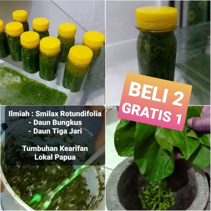 Jual Daun Bungkus Papua Asli 100% (Smilax Rotundifolia) | Shopee Indonesia