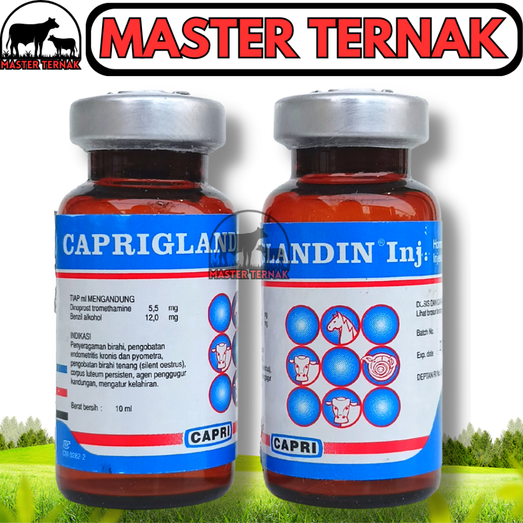 Jual CAPRIGLANDIN INJ 10 ml - Hormon Sinkronisasi Estrus Sapi Kambing ...