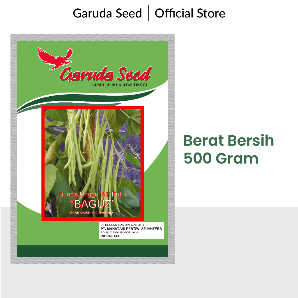 Jual Benih Buncis Putih Baguz 500 Gram Garuda Seed | Shopee Indonesia