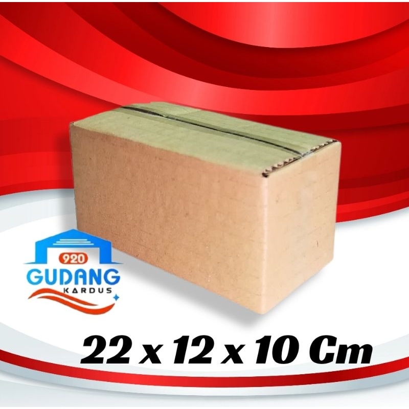 Jual KARDUS PACKING KECIL UKURAN 22 x 12 x 10 Cm | Shopee Indonesia