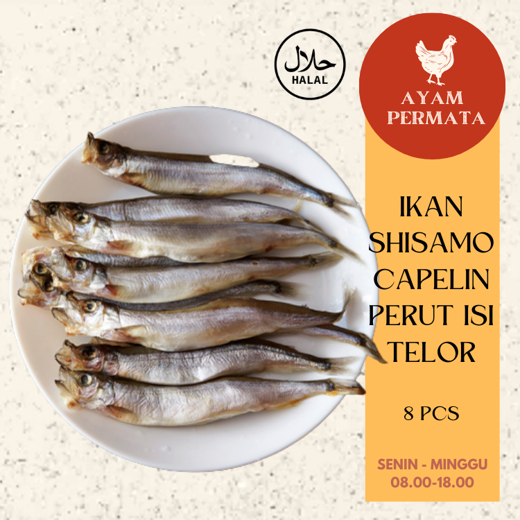 Jual Ikan Sisamo Telur - Shisamo Fish Telor - Capelin Jepang Air Laut ...