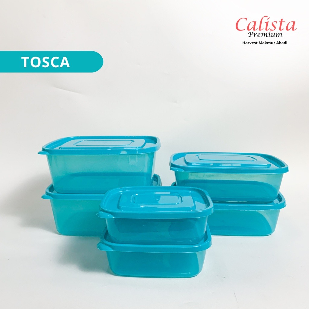 Jual Food Container Lunch Box Calista Furano Set 6 pcs Color | Shopee ...