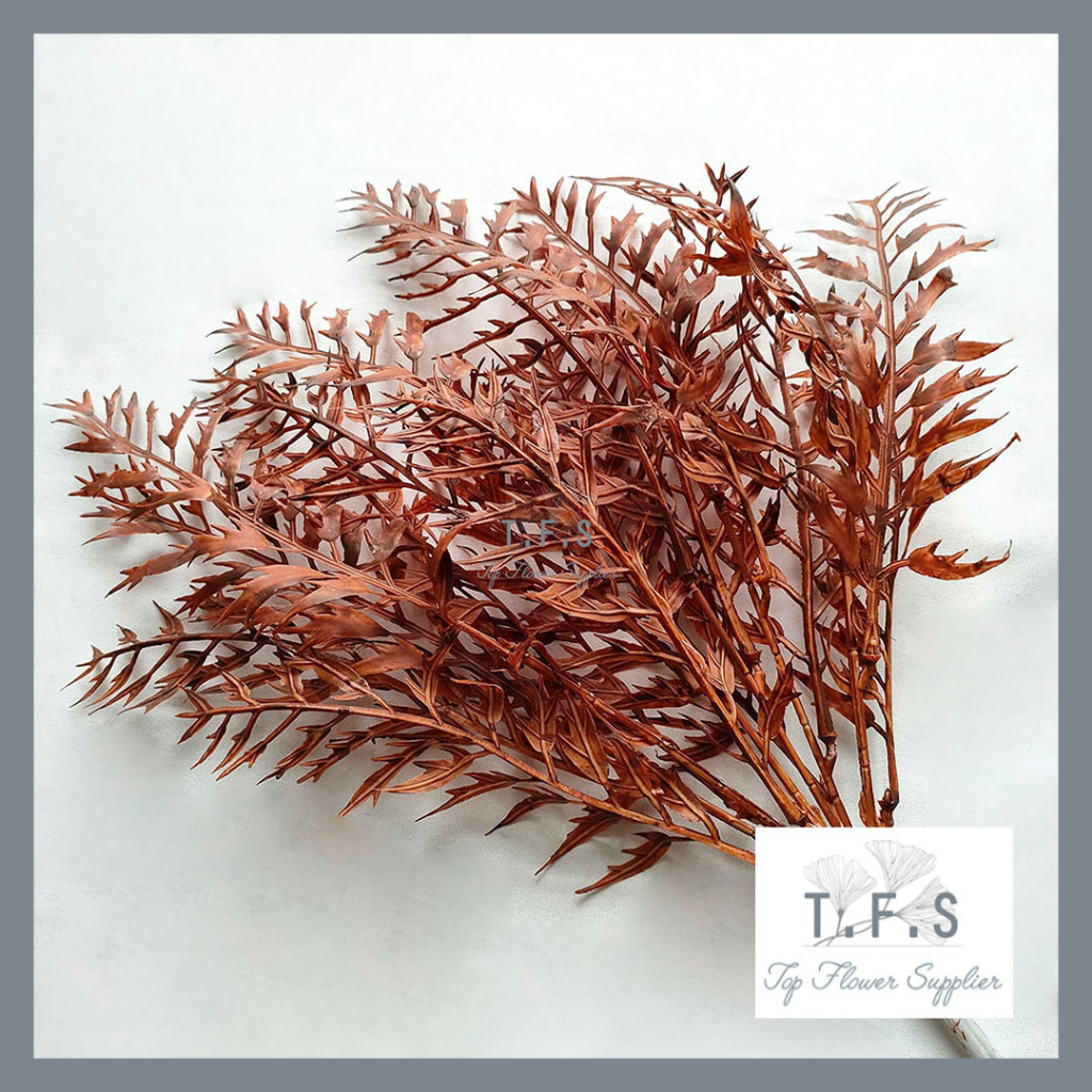 Jual Artificial Misty Grass Daun Pakis Artificial Rumput Paslu Hiasan ...